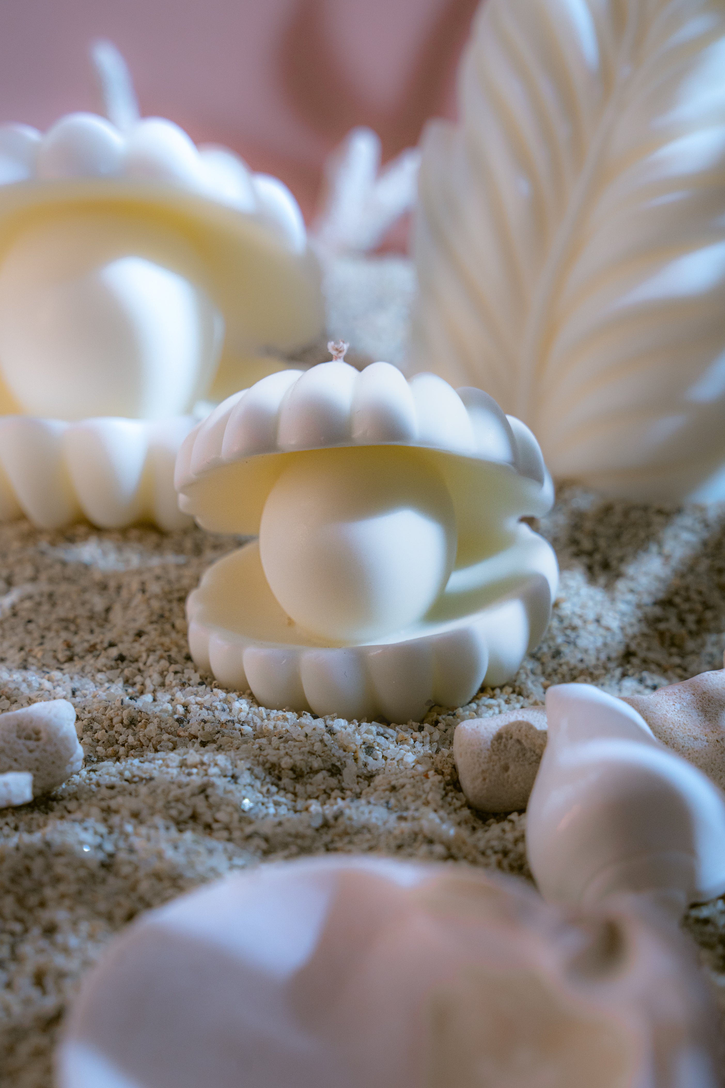 SUMMER COLLECTION – ASCENT